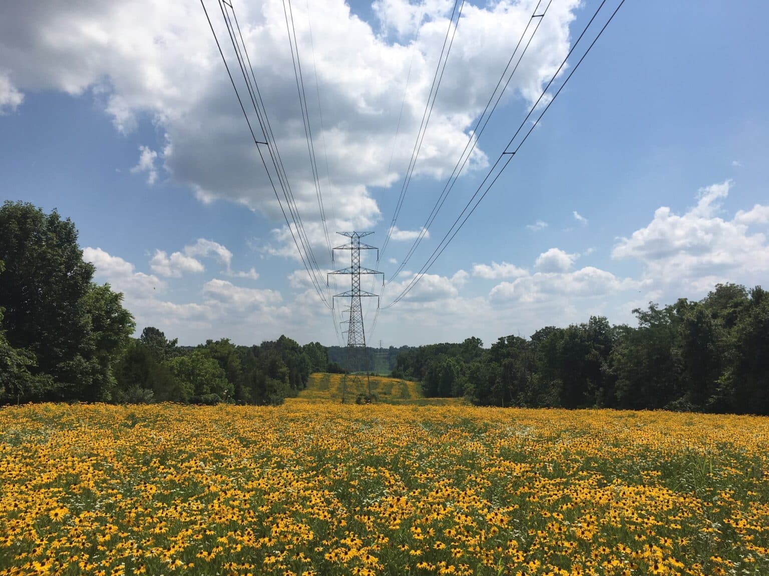 Energy & Environment - PPL Corporation